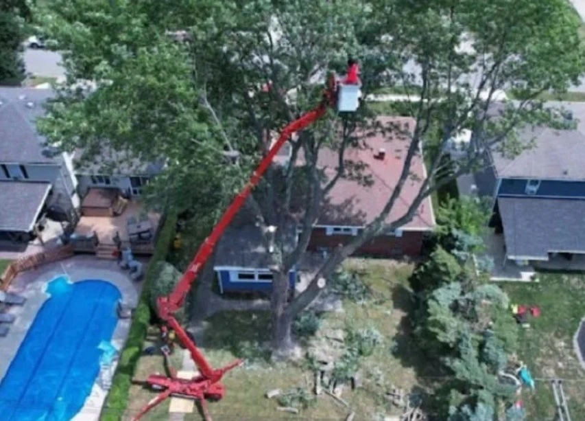 Tree Trimming | Tree Removal | Emergency Tree Service Rochester NY